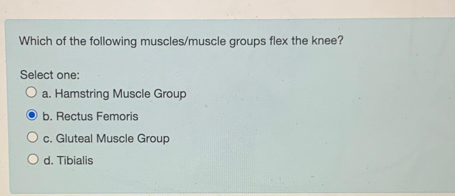 Solved Which of the following muscles/muscle groups flex the | Chegg.com
