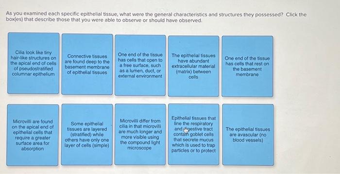 Solved As you examined each specific epithelial tissue, what | Chegg.com