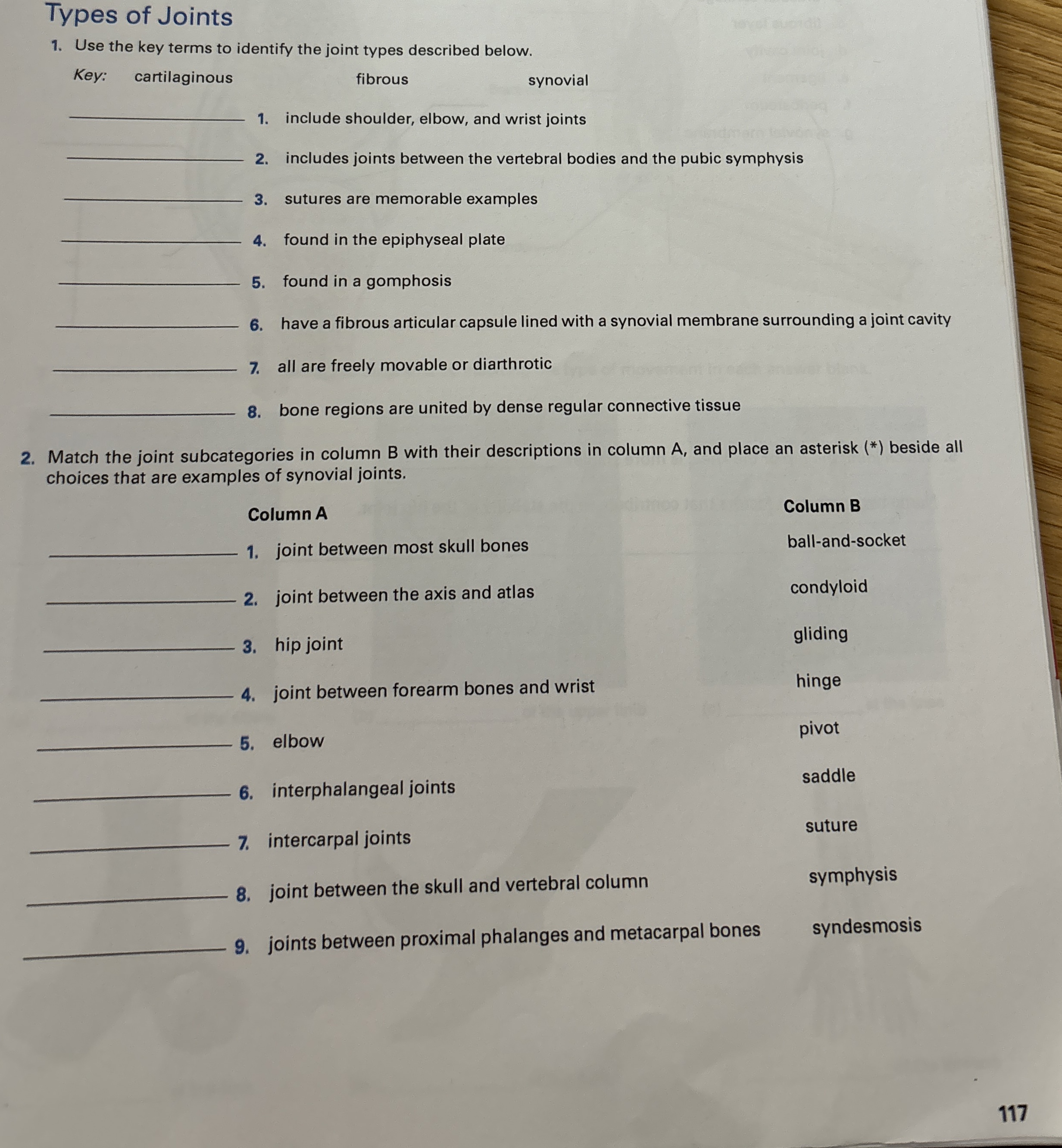 Solved Types of JointsUse the key terms to identify the | Chegg.com