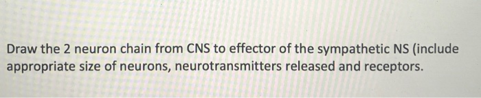 Solved Draw the 2 neuron chain from CNS to effector of the | Chegg.com