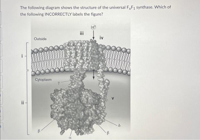 Solved The following diagram shows the structure of the | Chegg.com