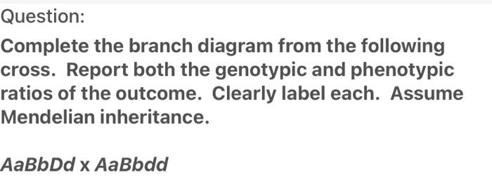 Solved Question: Complete the branch diagram from the | Chegg.com