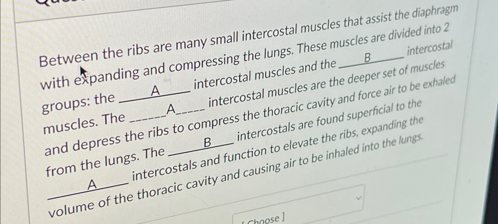 Solved Between the ribs are many small intercostal muscles | Chegg.com