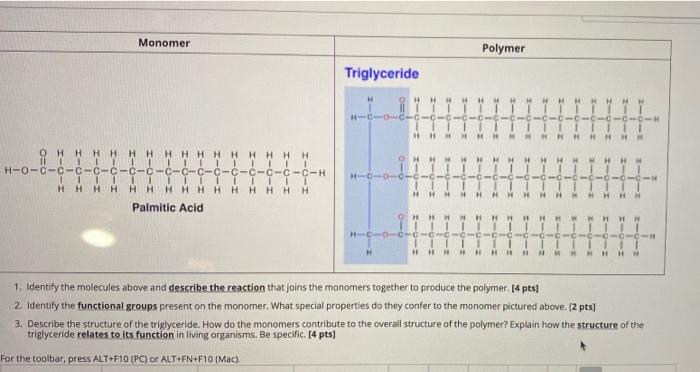 Solved Monomer Polymer Triglyceride HO-0---- -CC # ### OH H | Chegg.com