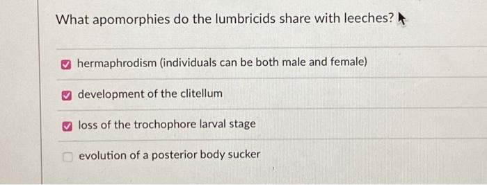 Solved What apomorphies do the lumbricids share with | Chegg.com
