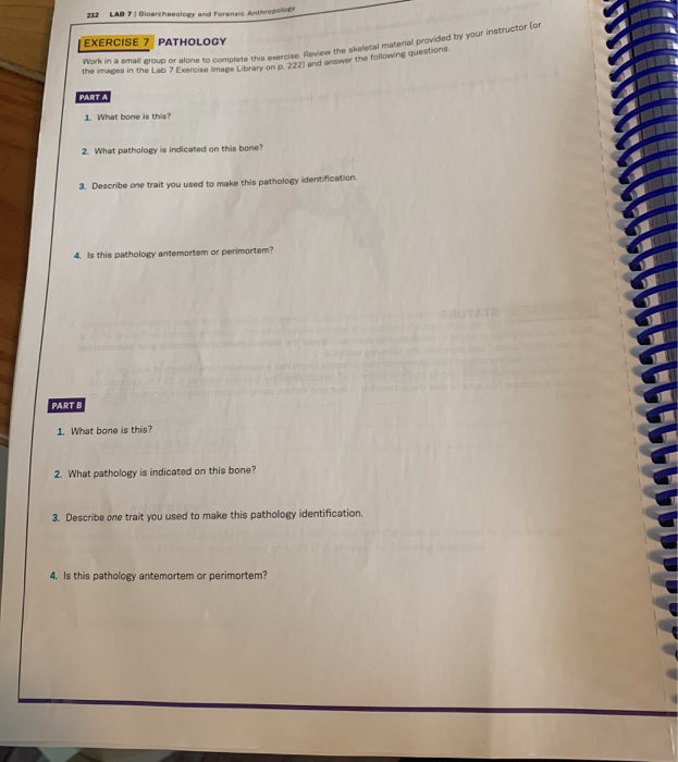 212 LAB 7 Bioarchaeology and Forensie Anthropo | Chegg.com