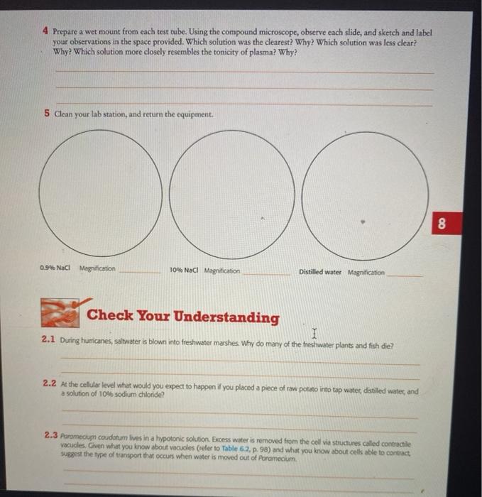 Solved 4 Prepare a wet mount from each test tube. Using the | Chegg.com