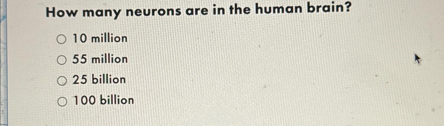 Solved How many neurons are in the human brain?10 ﻿million55 | Chegg.com