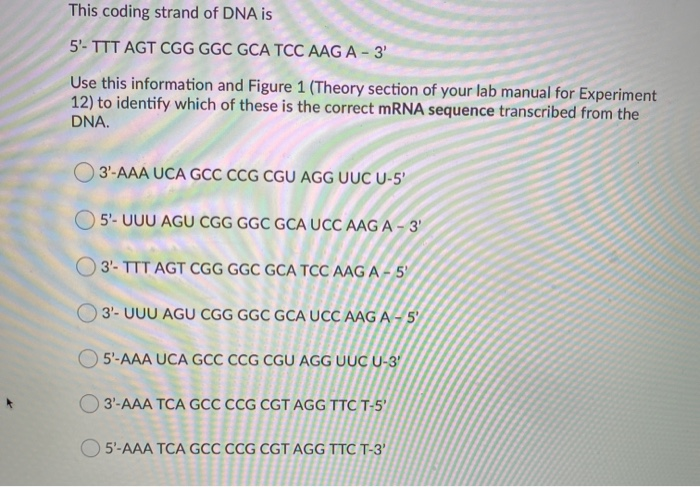Solved This coding strand of DNA is 5- TTT AGT CGG GGC GCA | Chegg.com