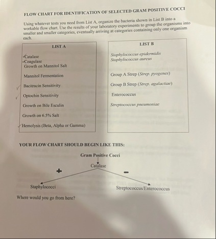 Solved FLOW CHART FOR IDENTIFICATION OF SELECTED GRAM | Chegg.com