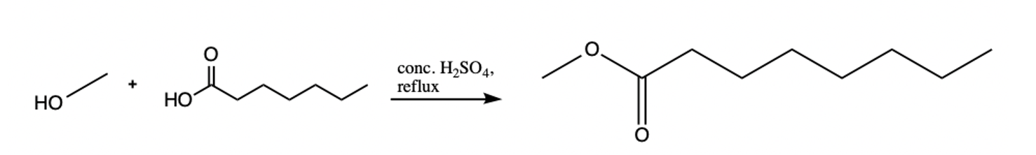Solved For the following fisher esterification reaction of | Chegg.com