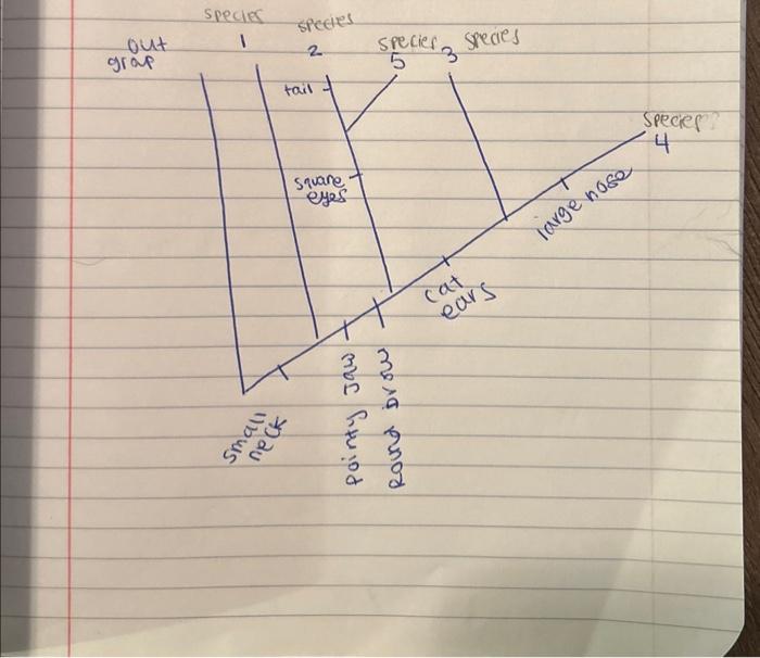 drawing an alternative phylogenetic tree of face | Chegg.com
