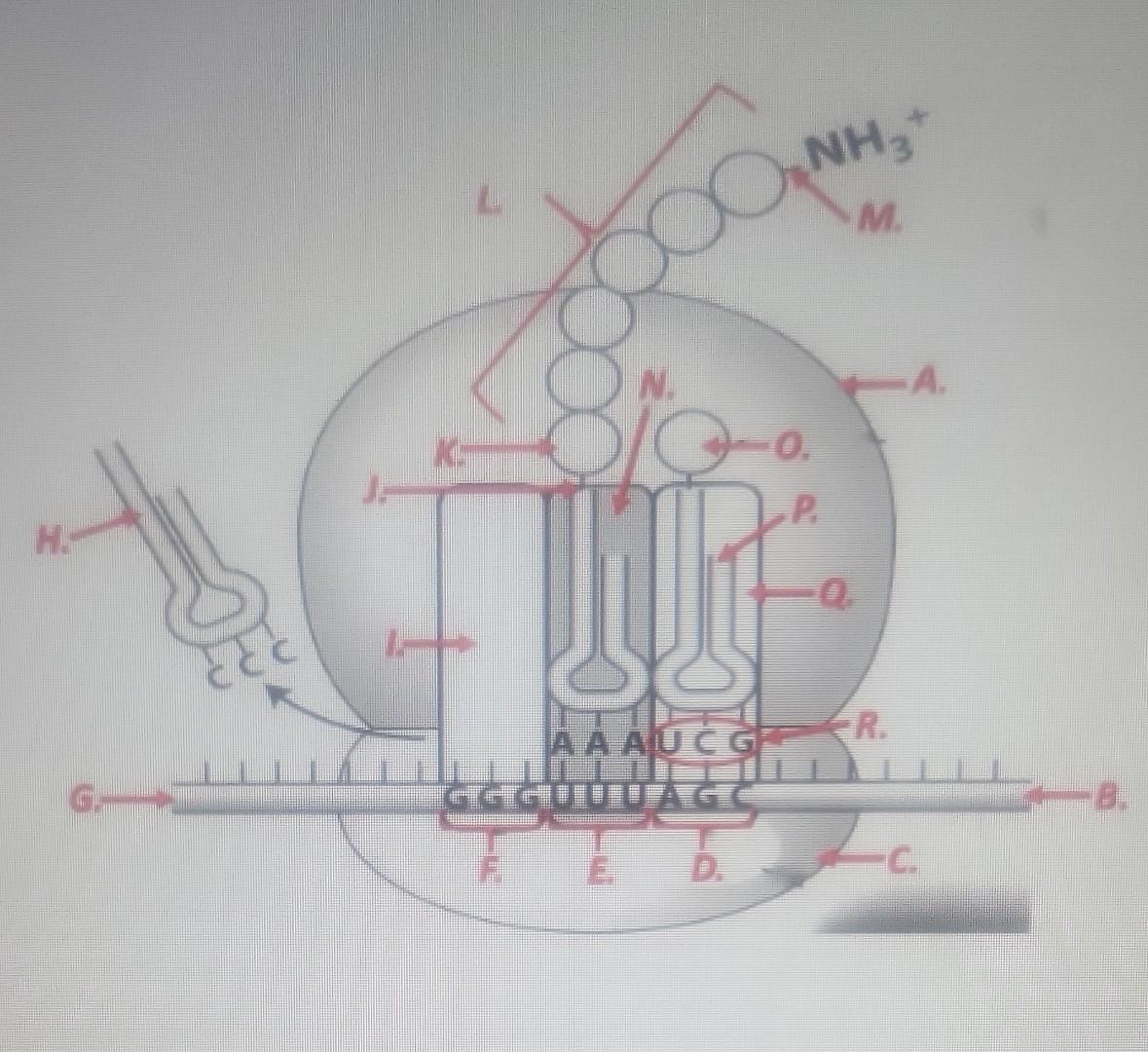 Solved what does q & k represent? what does j represent | Chegg.com