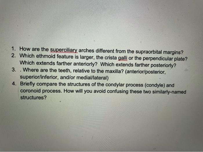 Solved 1. How are the superciliary arches different from the | Chegg.com