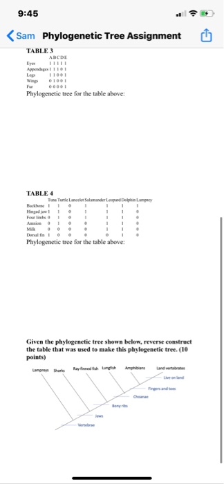 Solved 9:45 Sam Phylogenetic Tree Assignment For the four | Chegg.com