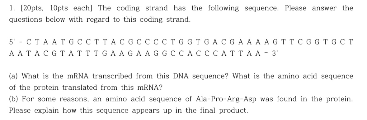 Solved [20pts, 10pts each] ﻿The coding strand has the | Chegg.com