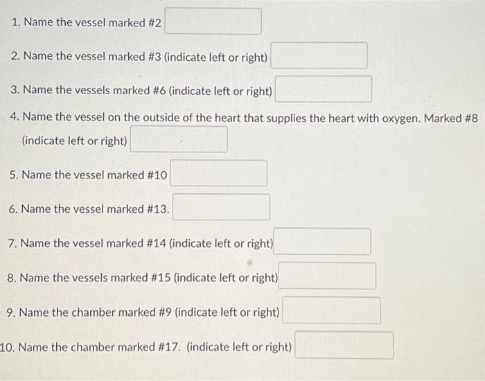 Solved 1. Name the vessel marked \#2 2. Name the vessel | Chegg.com