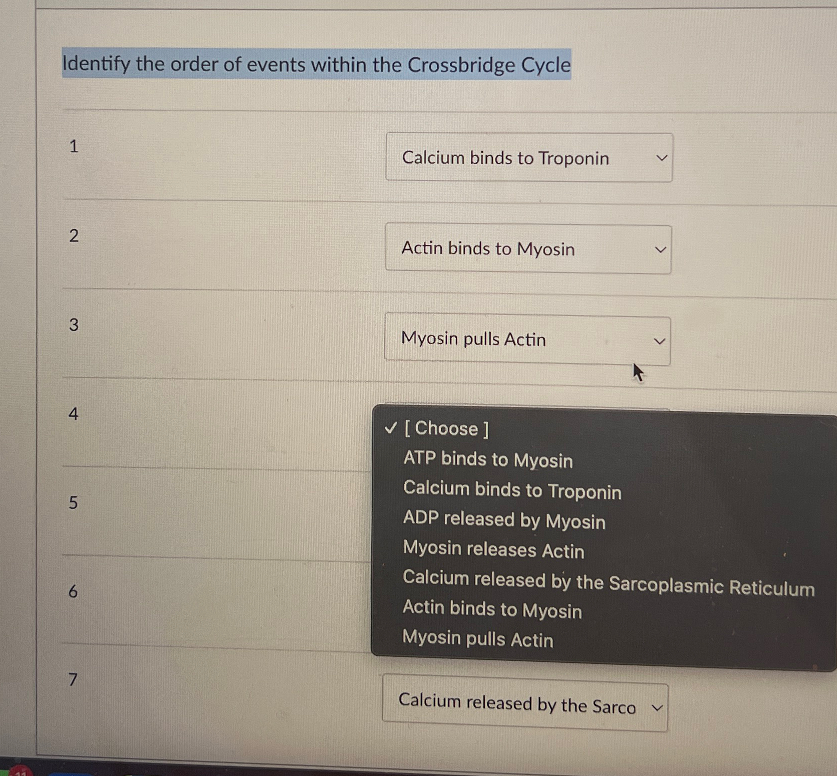 Solved Identify the order of events within the Crossbridge | Chegg.com