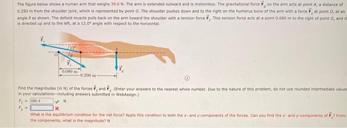 Solved The figure below shows a human arm that weighs 39.6 | Chegg.com