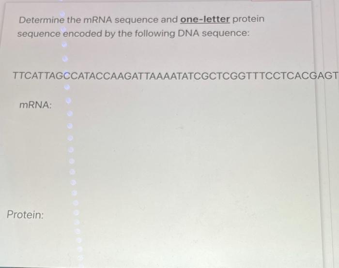 Solved Determine the mRNA sequence and one-letter protein | Chegg.com