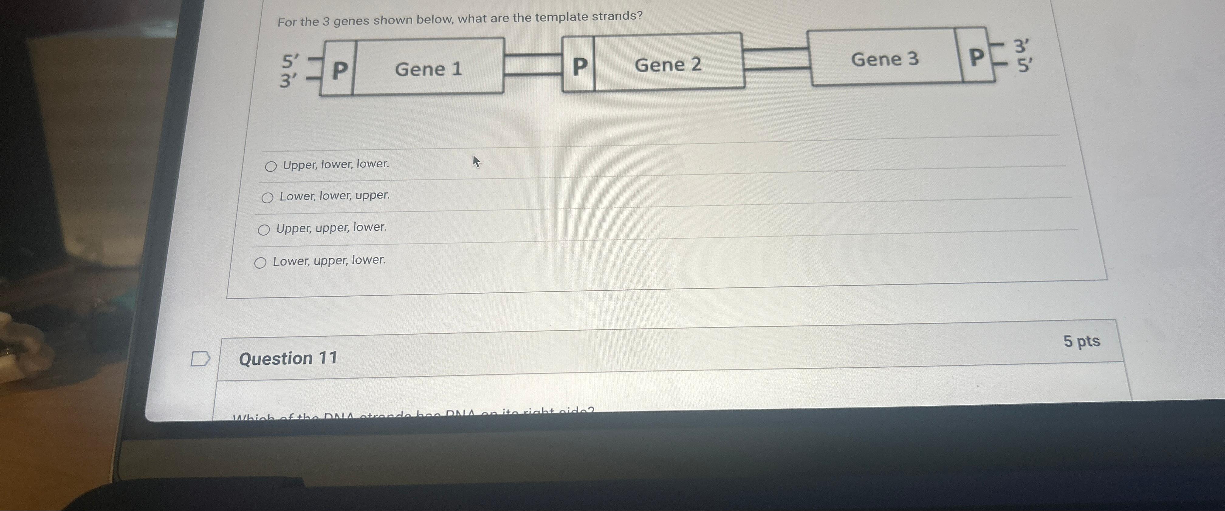 Solved For the 3 ﻿genes shown below, what are the template | Chegg.com