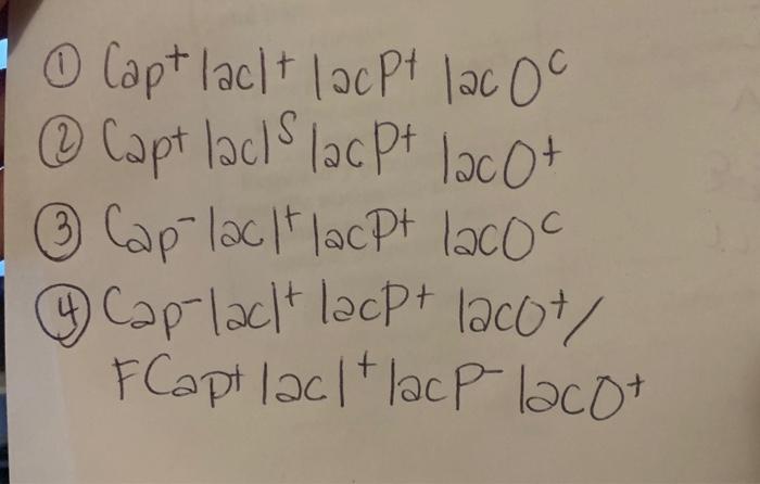 Solved (1) Cap +∣ac∣+locpt lac 0C (2) Capt lacl lacpt 1ax0+ | Chegg.com