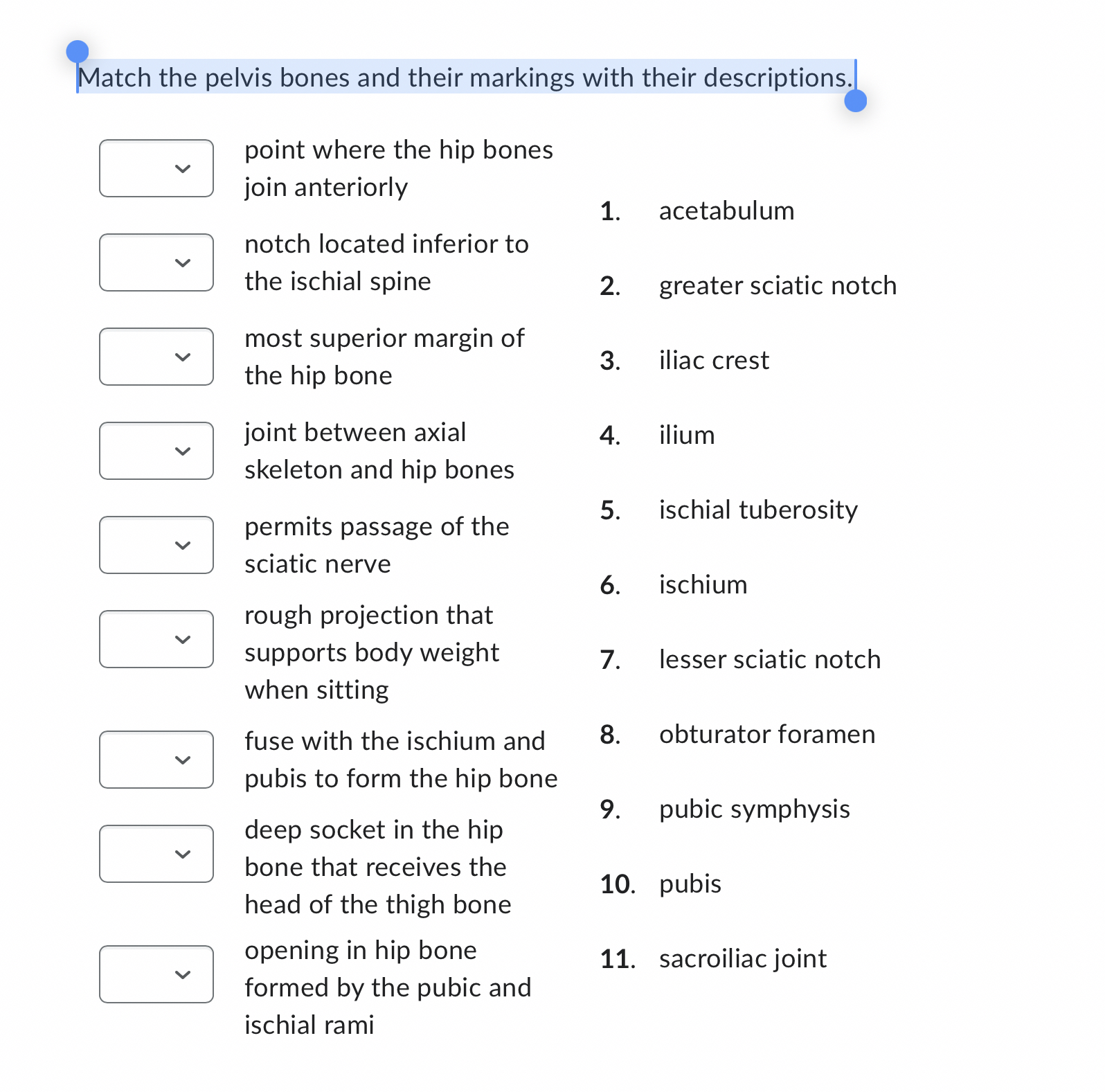 Solved Match the pelvis bones and their markings with their | Chegg.com