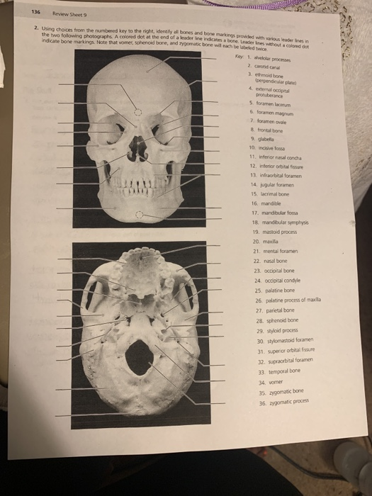 Solved 136 Rew Sheet 2. Using choices from the numbered key | Chegg.com