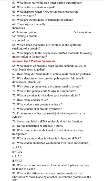 Solved DNA \& Protein Synthesis Section 10-I DNA 1. What | Chegg.com