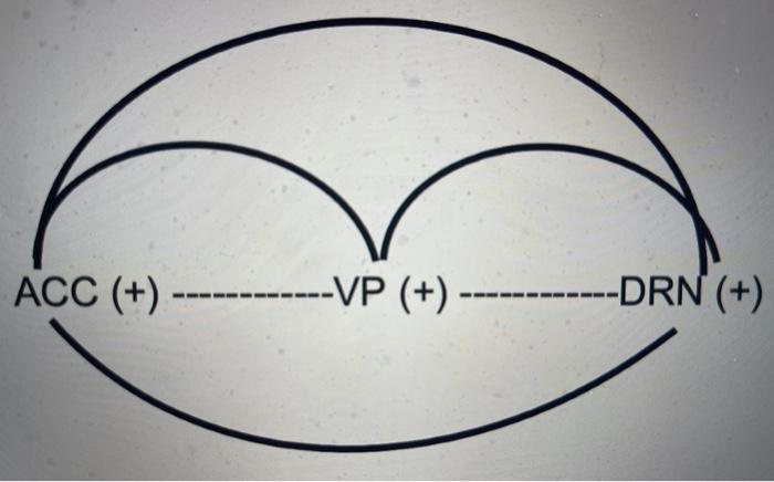 Solved The anterior cingulate cortex's (also known as ACC) | Chegg.com