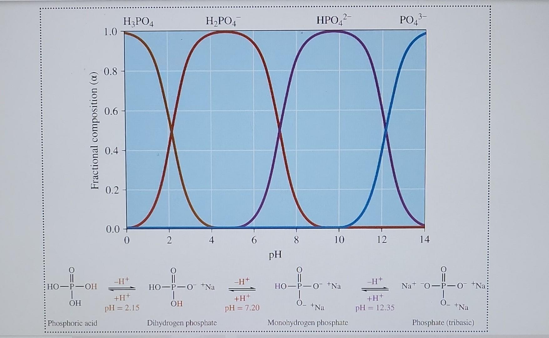 6. Consider the acid-base equilibria of the phosphate | Chegg.com