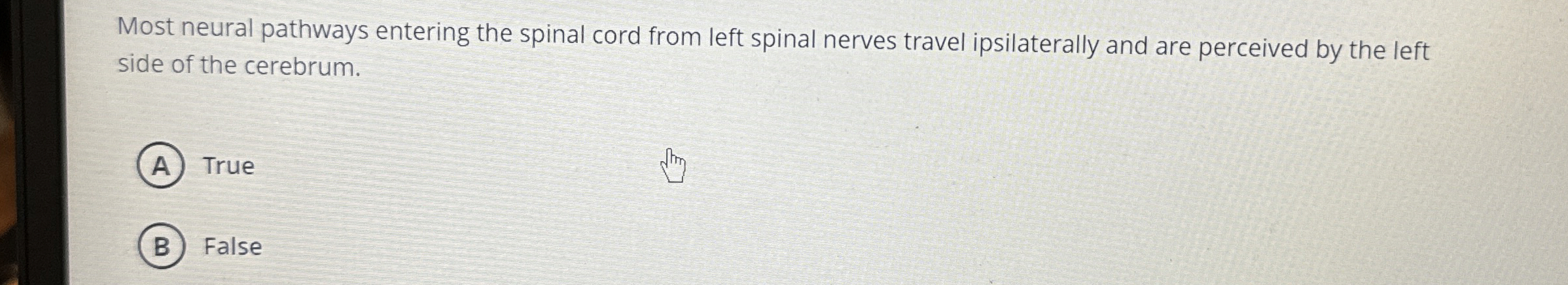 Solved Most neural pathways entering the spinal cord from | Chegg.com