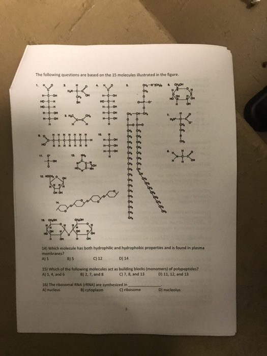 Solved The Following Questions Are Based On The 15 Molecules