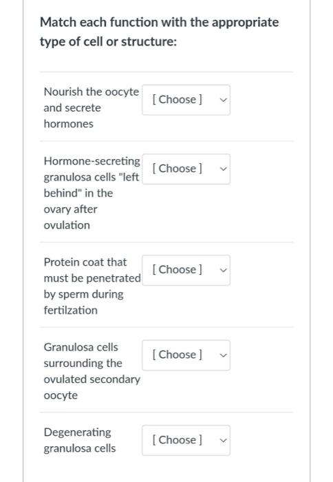 Solved Match each function with the appropriate type of cell | Chegg.com