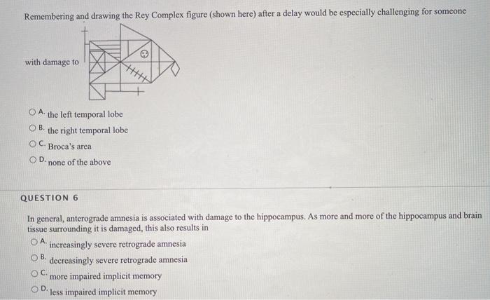 Solved Remembering and drawing the Rey Complex figure (shown | Chegg.com