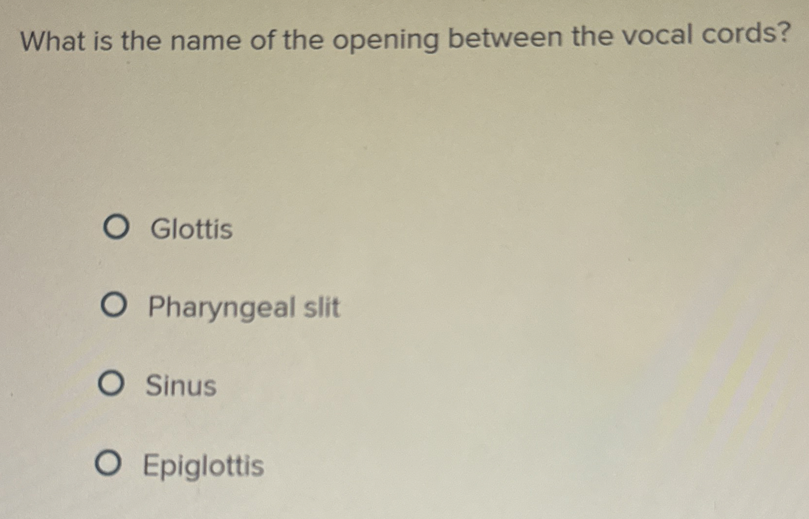 High Quality SOLUTION What is the name of the opening between the vocal ...