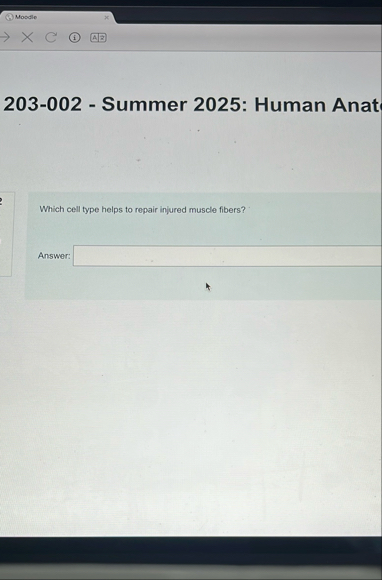 [Solved]: Moodle 203-002 - Summer 2025: Human Anat Which cel