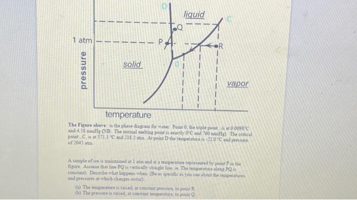 Solved 1 atm pressure solid P liquid Q vapor temperature The | Chegg.com