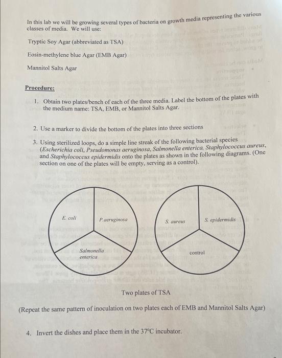 Solved Lab Exercise 6A: Types of Growth Media for Bacteria | Chegg.com