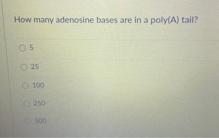 Solved How many adenosine bases are in a poly (A) tail? 5 25 | Chegg.com