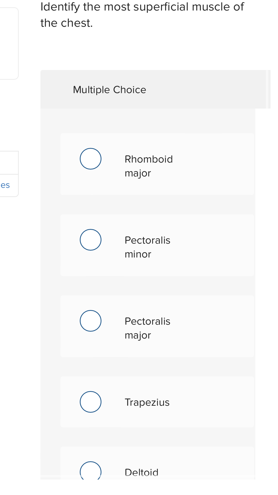 Solved Identify the most superficial muscle of the | Chegg.com