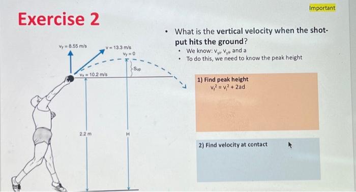 Solved Exercise 2 - What is the vertical velocity when the | Chegg.com