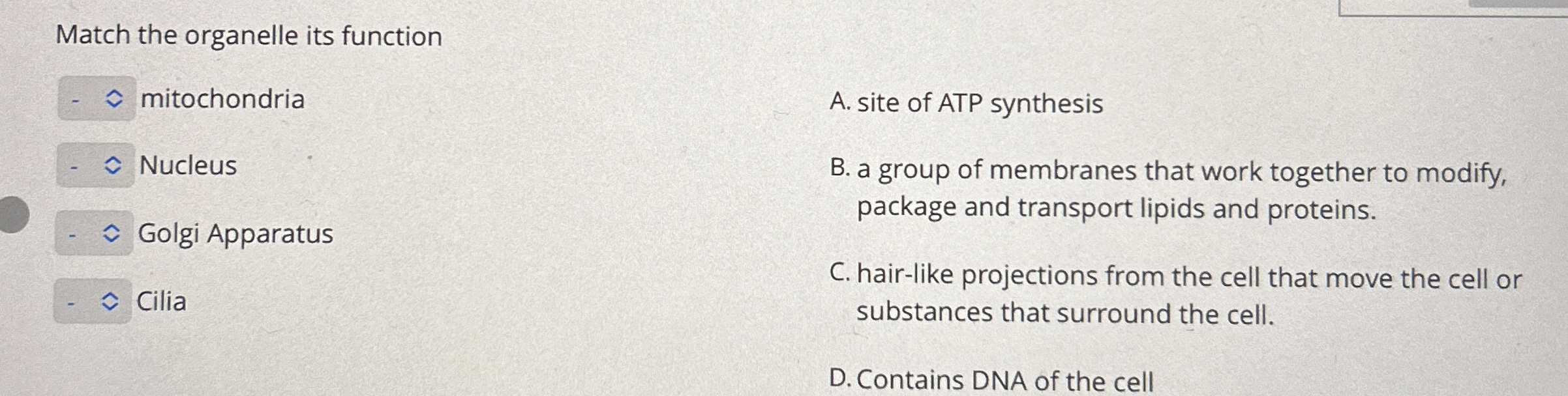 Solved Match the organelle its | Chegg.com