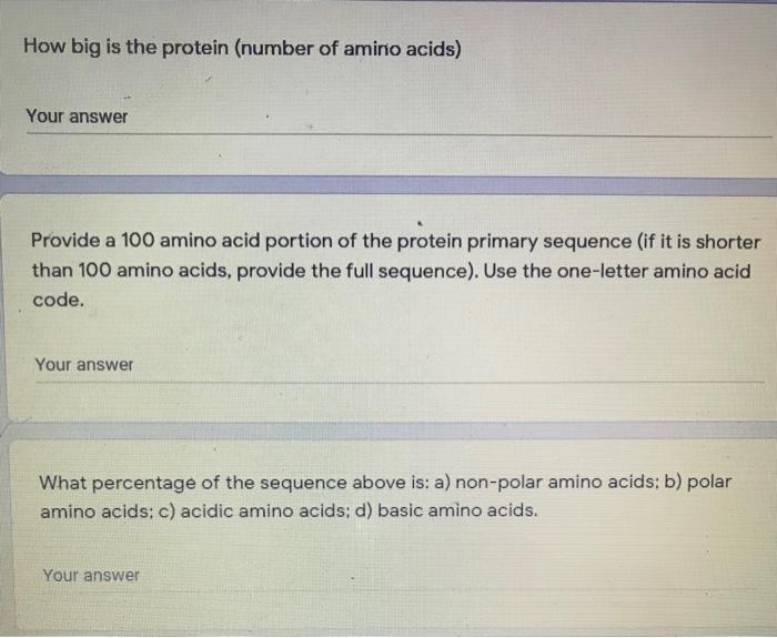 Solved How big is the protein (number of amino acids) Your | Chegg.com