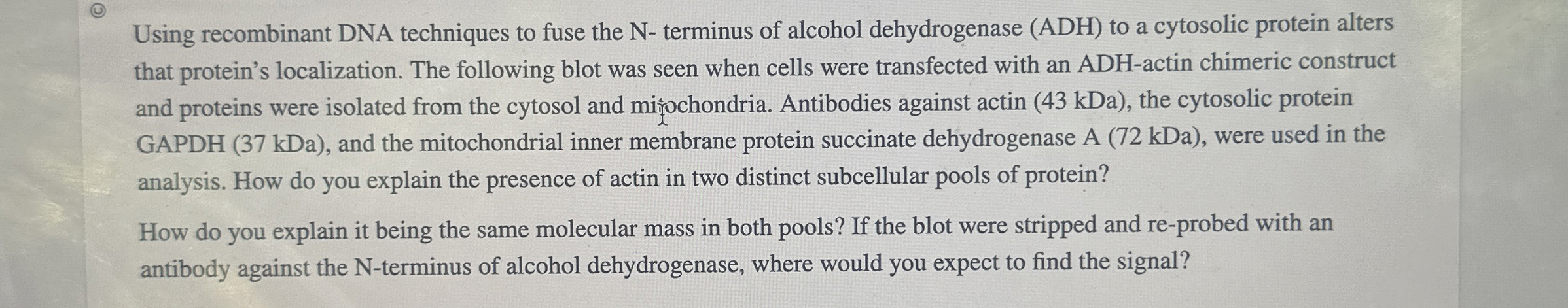Solved Using recombinant DNA techniques to fuse the N - | Chegg.com