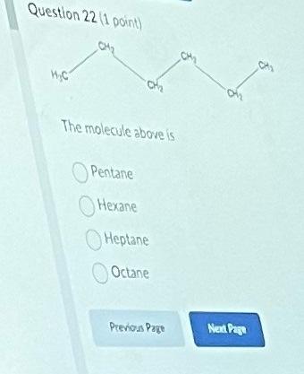 Solved Question 22 (1 point) The molecule abore is Pentane | Chegg.com