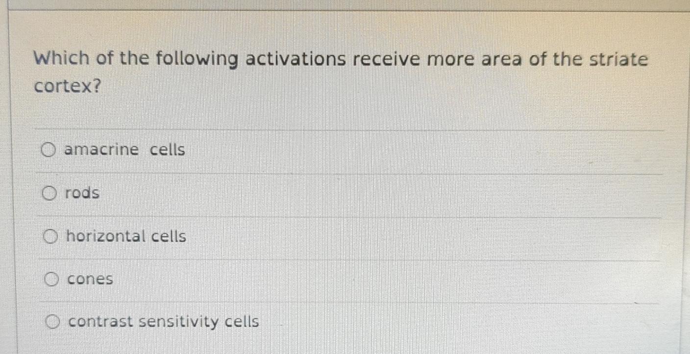 Solved Which of the following activations receive more area | Chegg.com