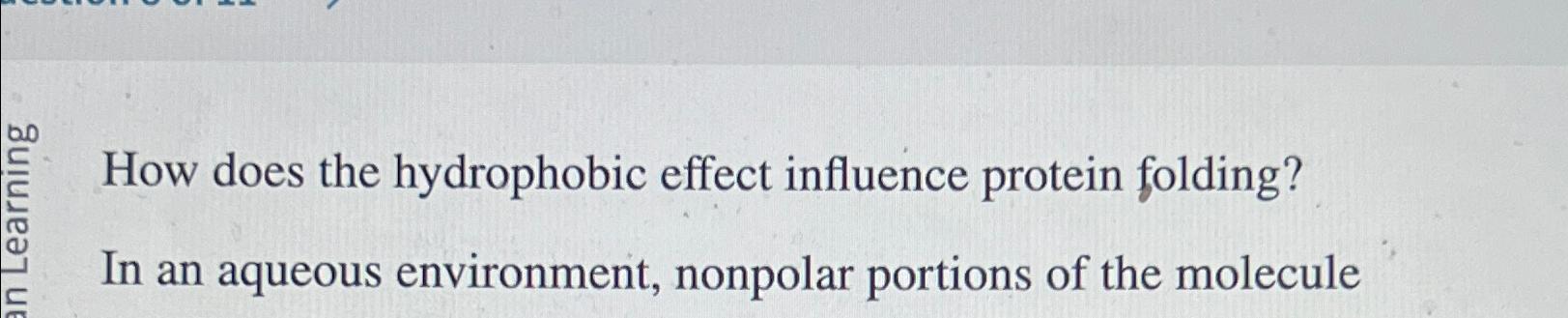 Solved How does the hydrophobic effect influence protein | Chegg.com