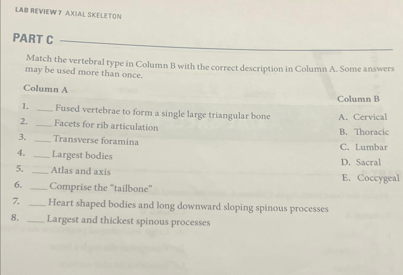 Solved LAB REVIEW 7 ﻿AXIAL SKELETONPART CMatch the vertebral | Chegg.com