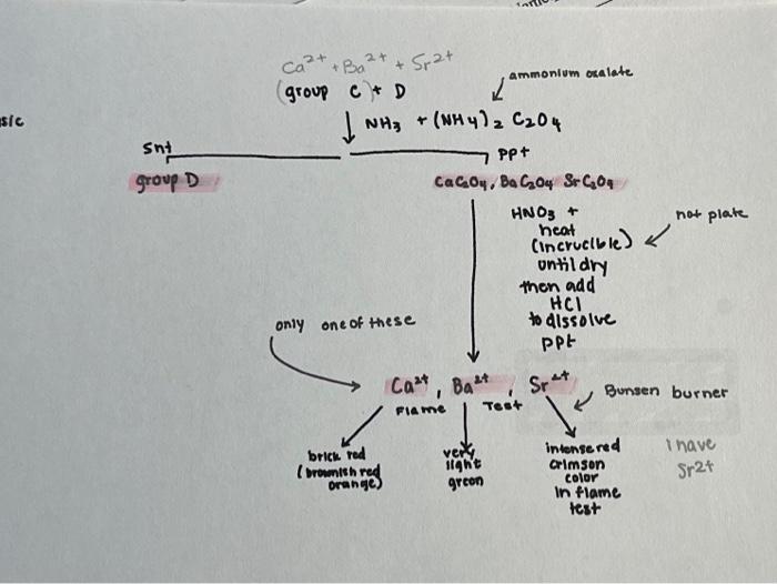 Solved 3. To precipitate their Group C cation, a fellow | Chegg.com